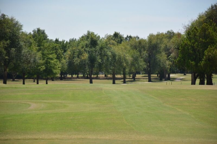 Golf Course - Meadowlake